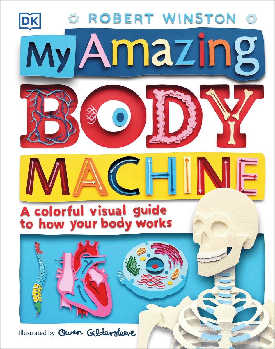 My Amazing Body Machine: A Colorful Visual Guide to How Your Body Work ...